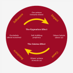 The Pygmalion effect and the power of positivity - Quiver Management