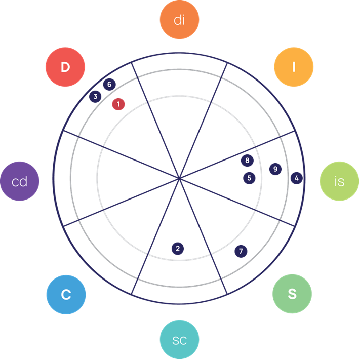 DISC-Flow-team-profile - Quiver Management